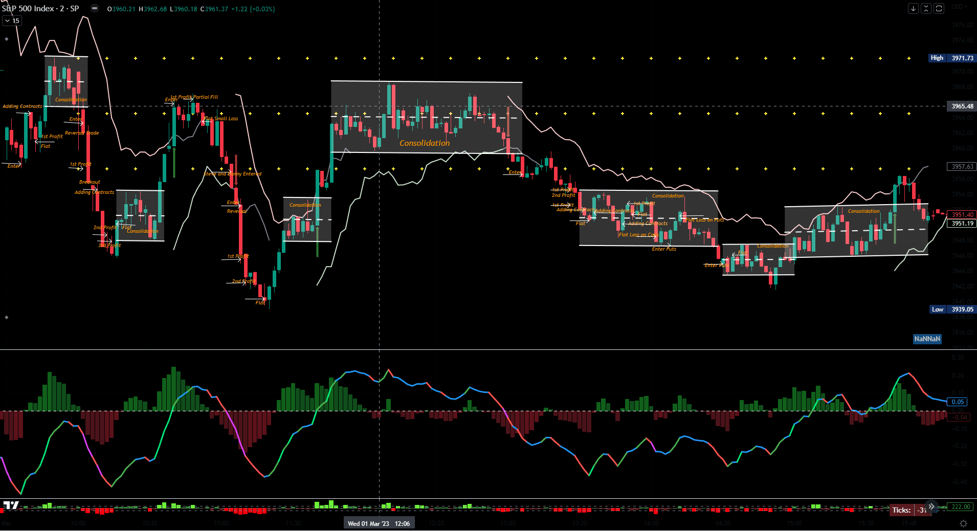 Learn Profitable Options Trading in Up or Down Markets
